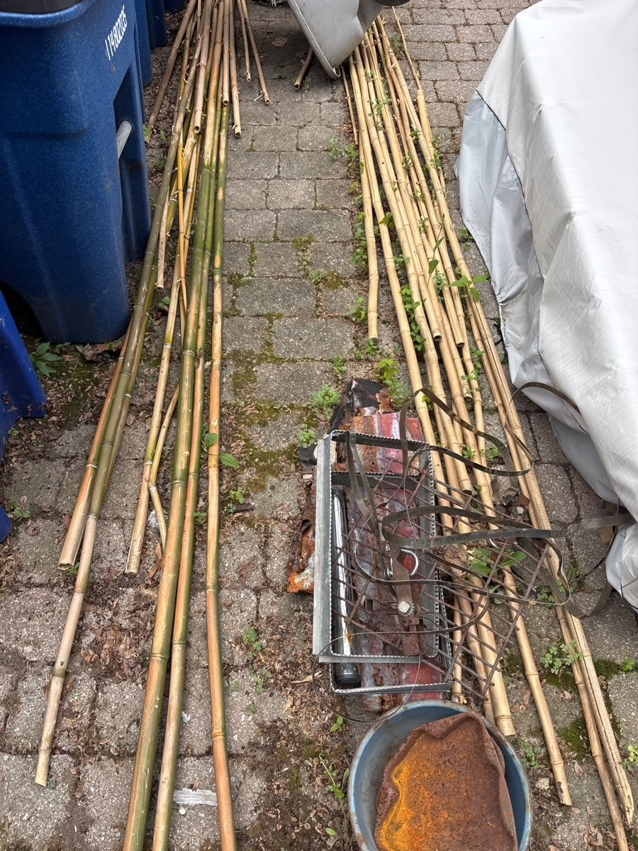 Free: Dead Bamboo 4 -20 feet (Ohio City - Waco Ct Wst of W30)