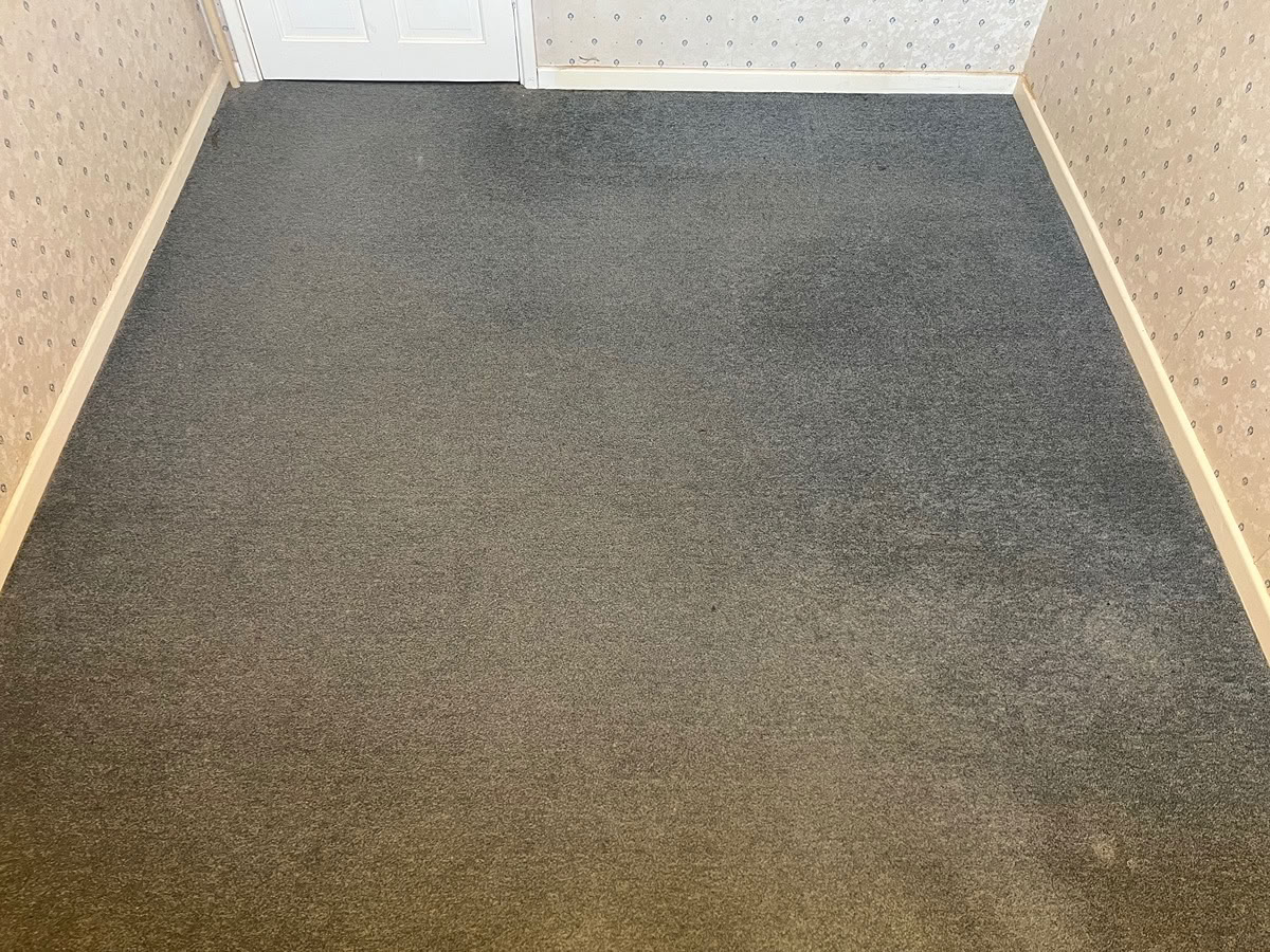 Free: Navy blue carpet (Long eaton NG10) - Nottingham Freegle