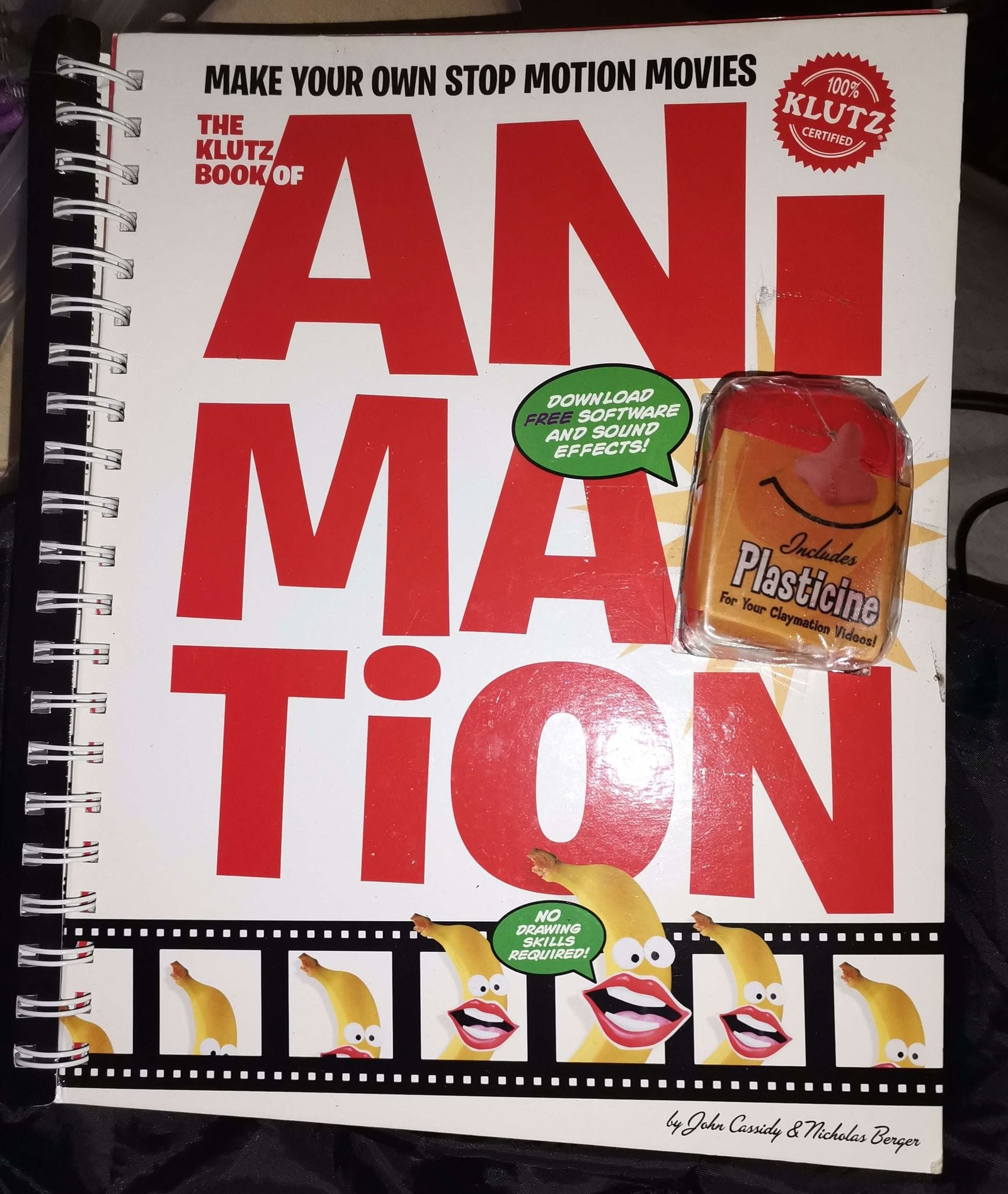Free: Book on stop go animation (Low Beechburn DL15) - Bishop Auckland ...