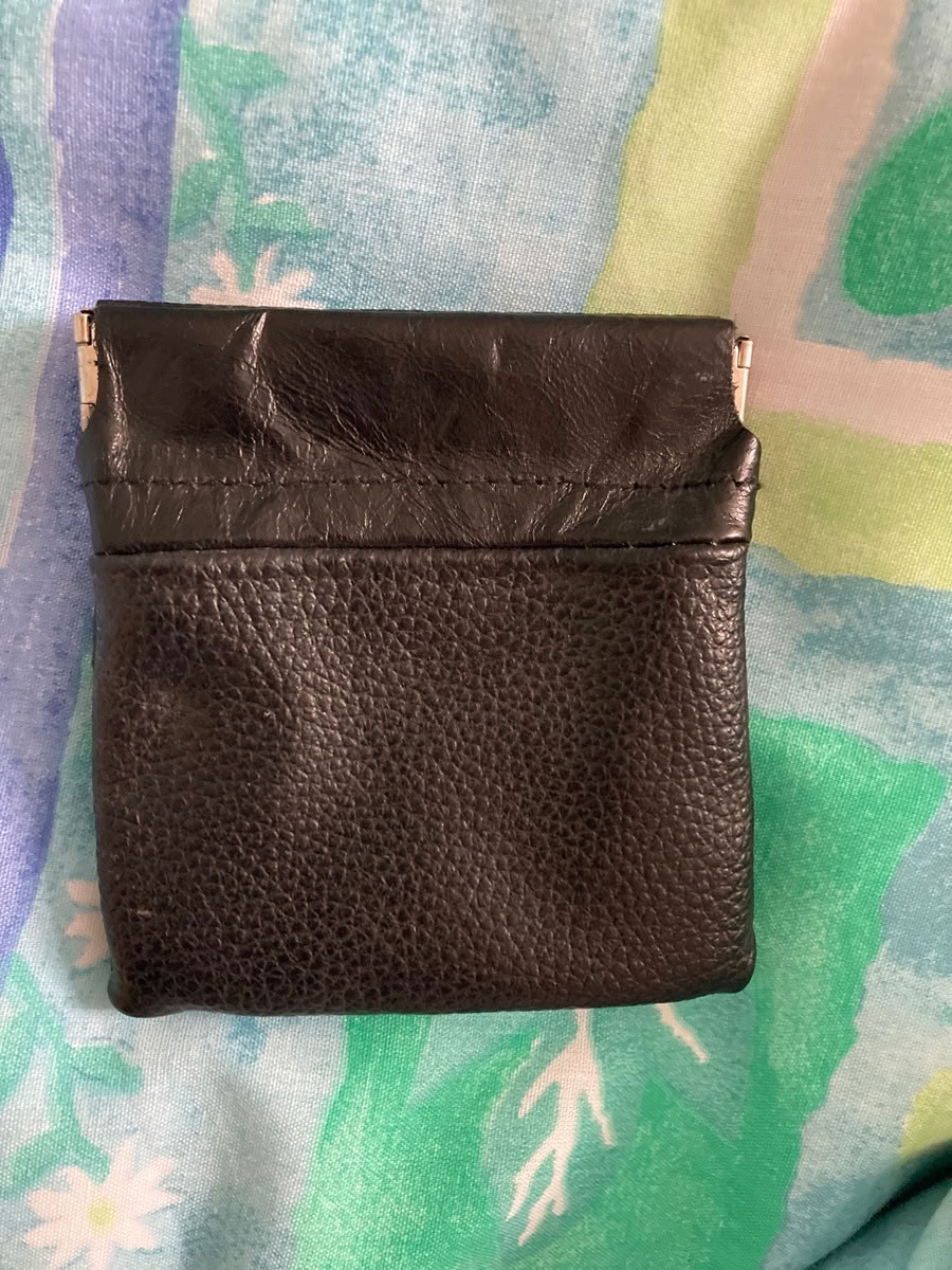 Free: Little change purse (CM12)