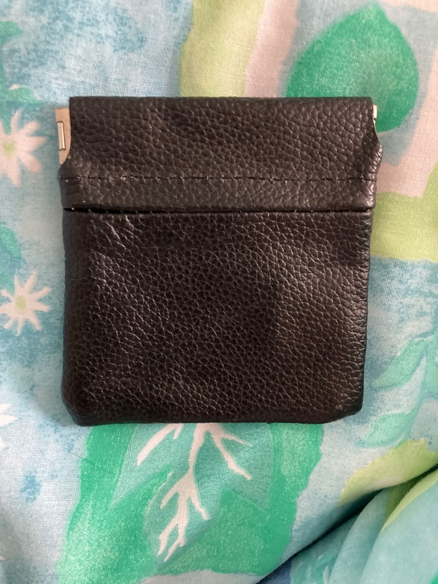 Free: Little change purse (CM12)