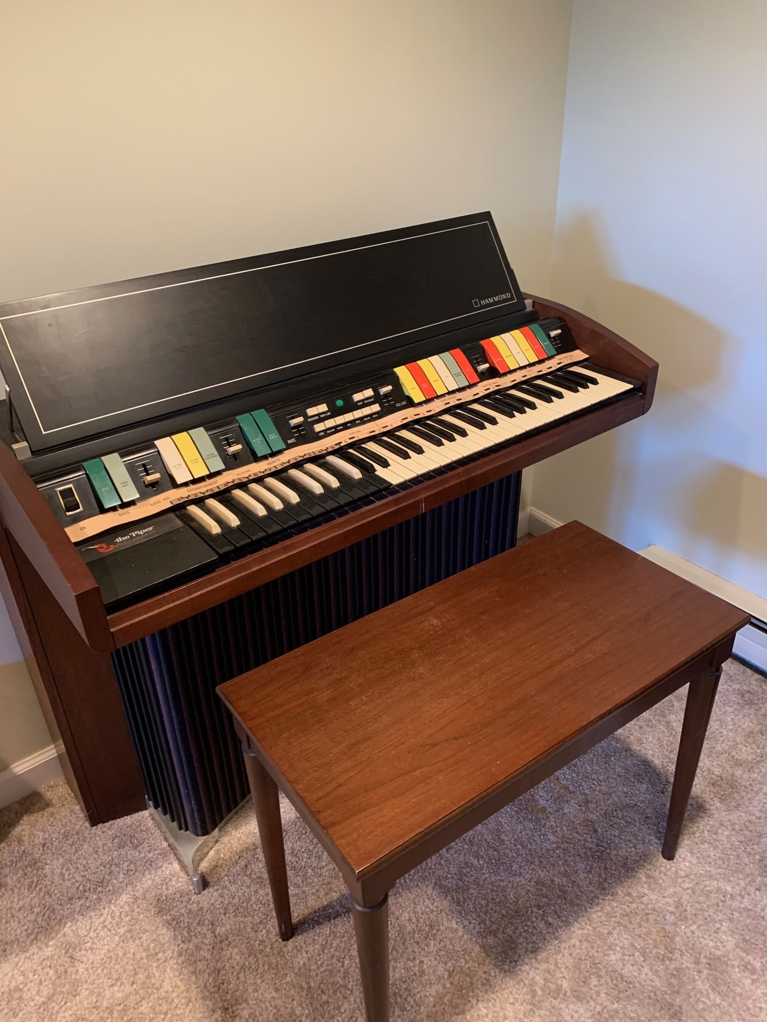 Free: Hammond Piper II Chord Organ (West side of Schadt Ave.)