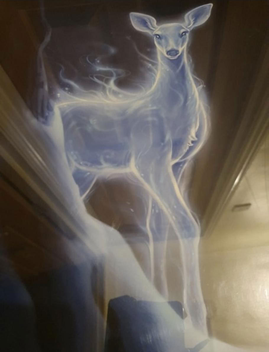 Free: Harry Potter print (BS16)