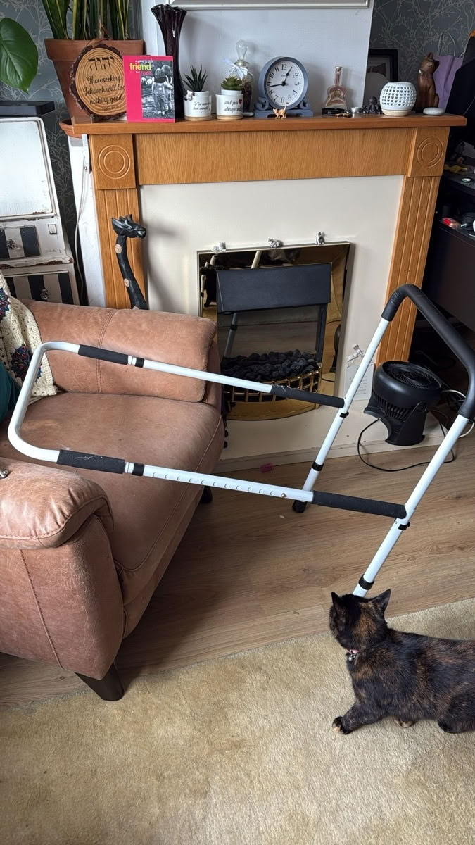 Free: Bed support (Sedgley, DY3)