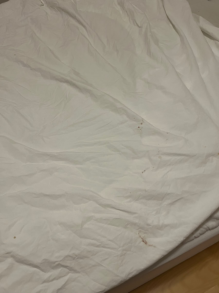 Free: Single twin sheets (imperfect) (Hintonburg)