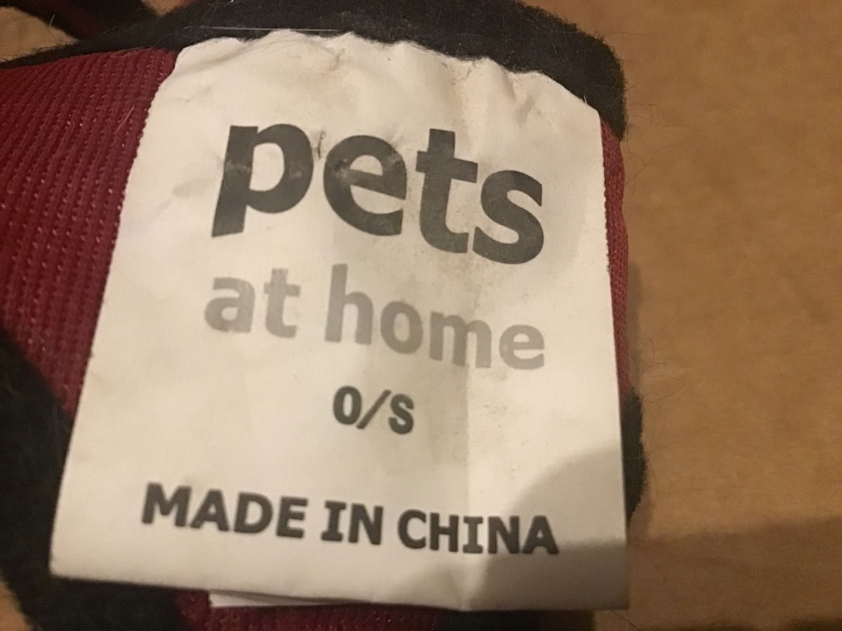 Free: Cat harness and lead (TQ12 kingskerswell) - Torbay Freegle