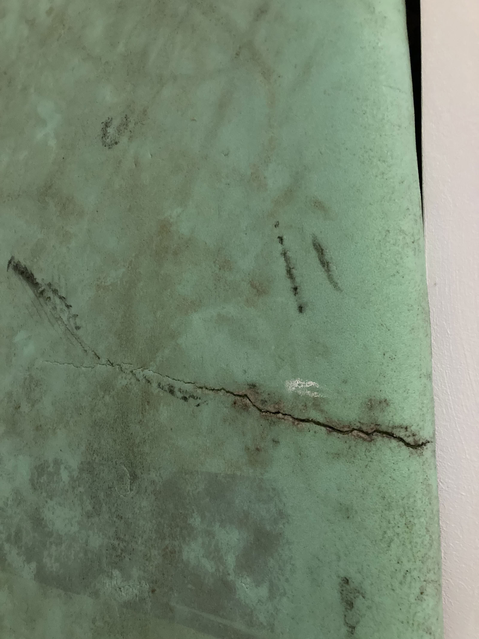 Free: Surf Board (Boscombe Gardens)