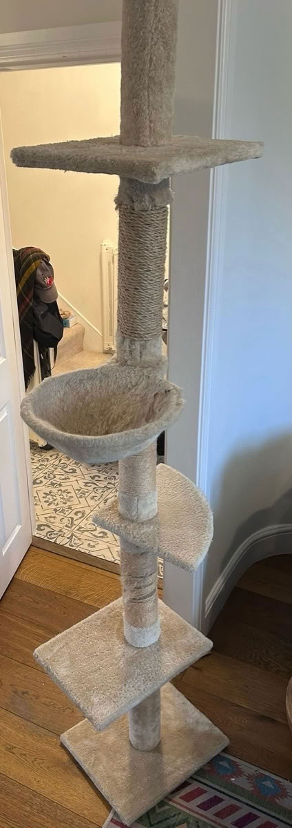 Free: Tall cat tower (East Dulwich)