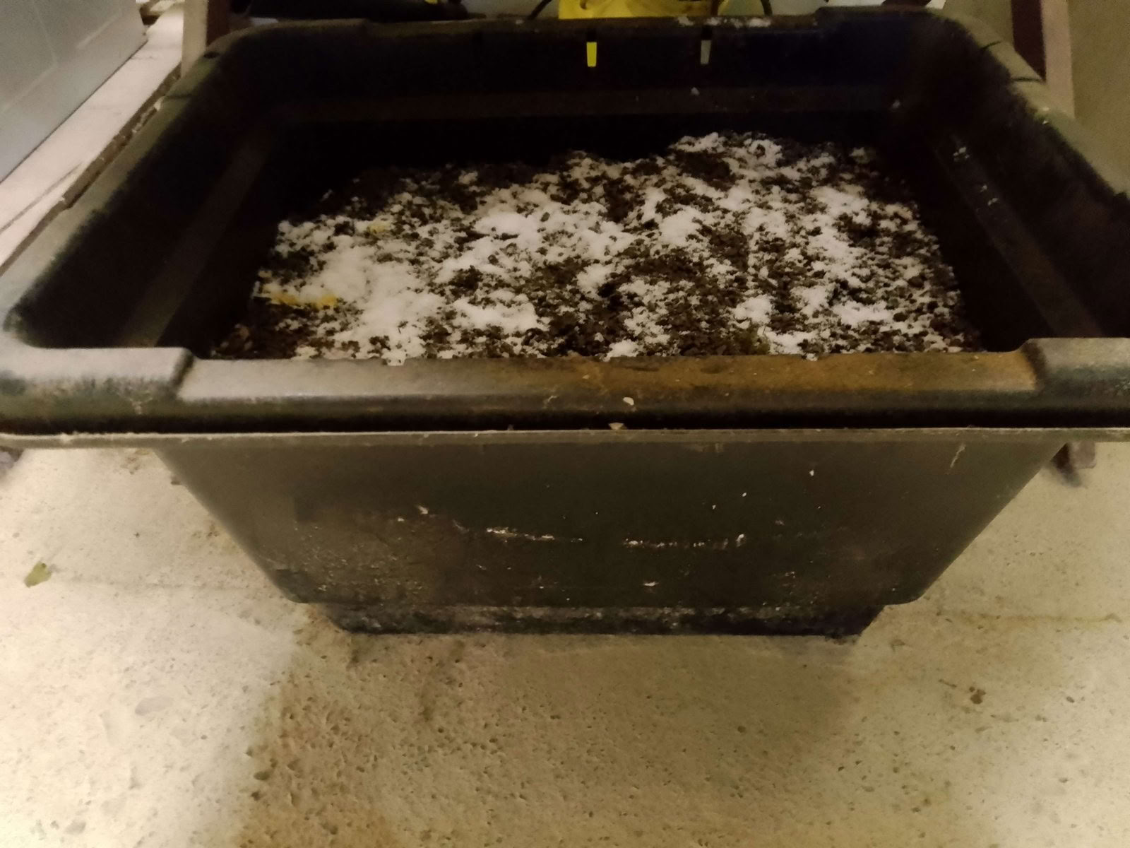 Free: Rock salt (Bucknell SY7) - Ludlow & Leominster Freegle