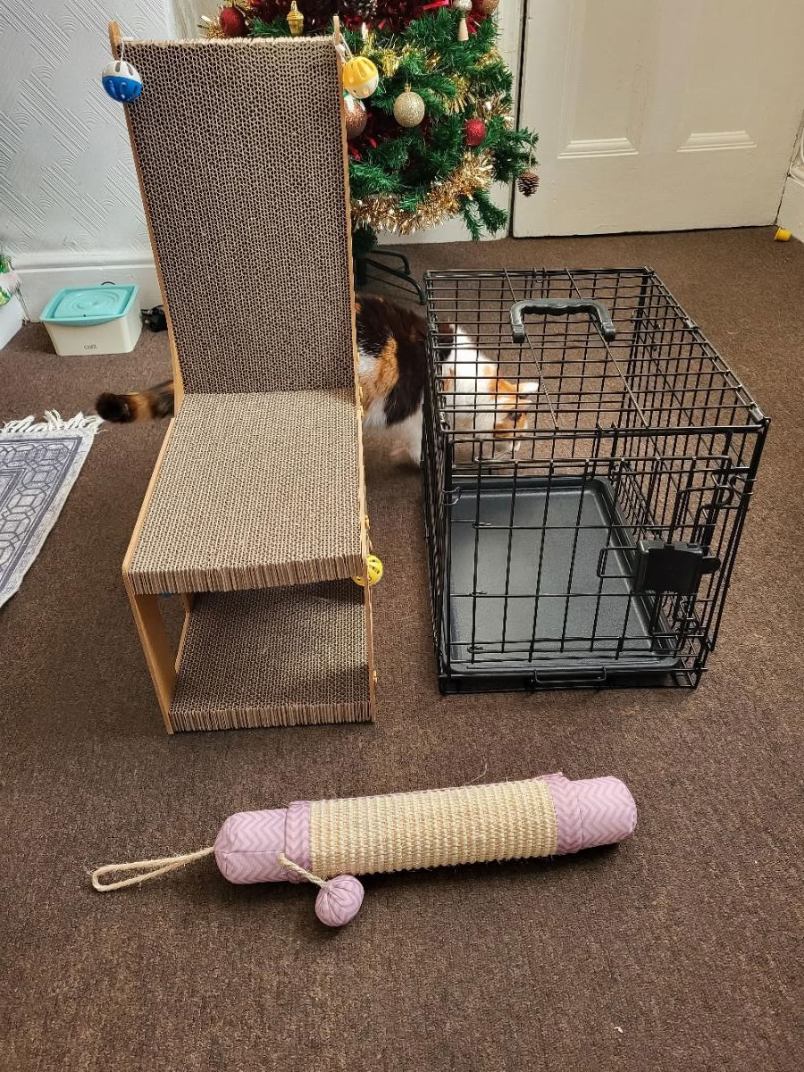 Free: Cat items (Leicester LE2) - Leicester Freegle