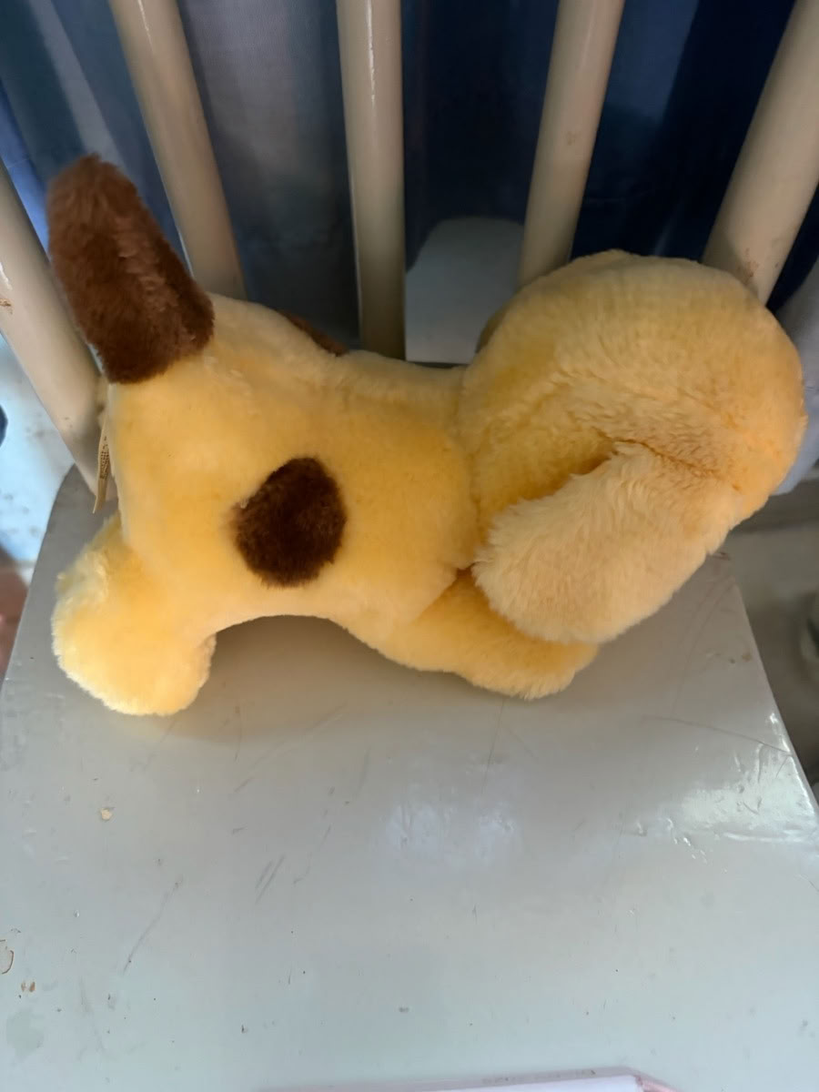 Free: Spot The Dog (Westbury Wilts BA13)