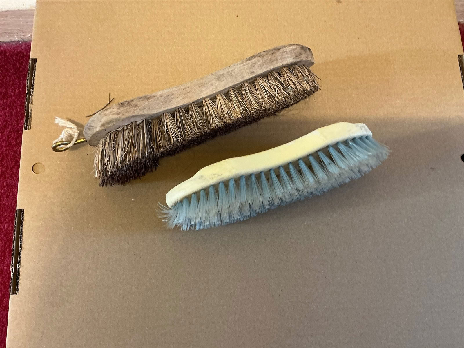Free: Scrubbing brushes (Walkley S6) - Sheffield Freegle