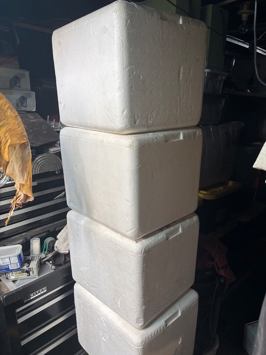 Free: styrofoam coolers (9 mile and John R- Hazel Park)