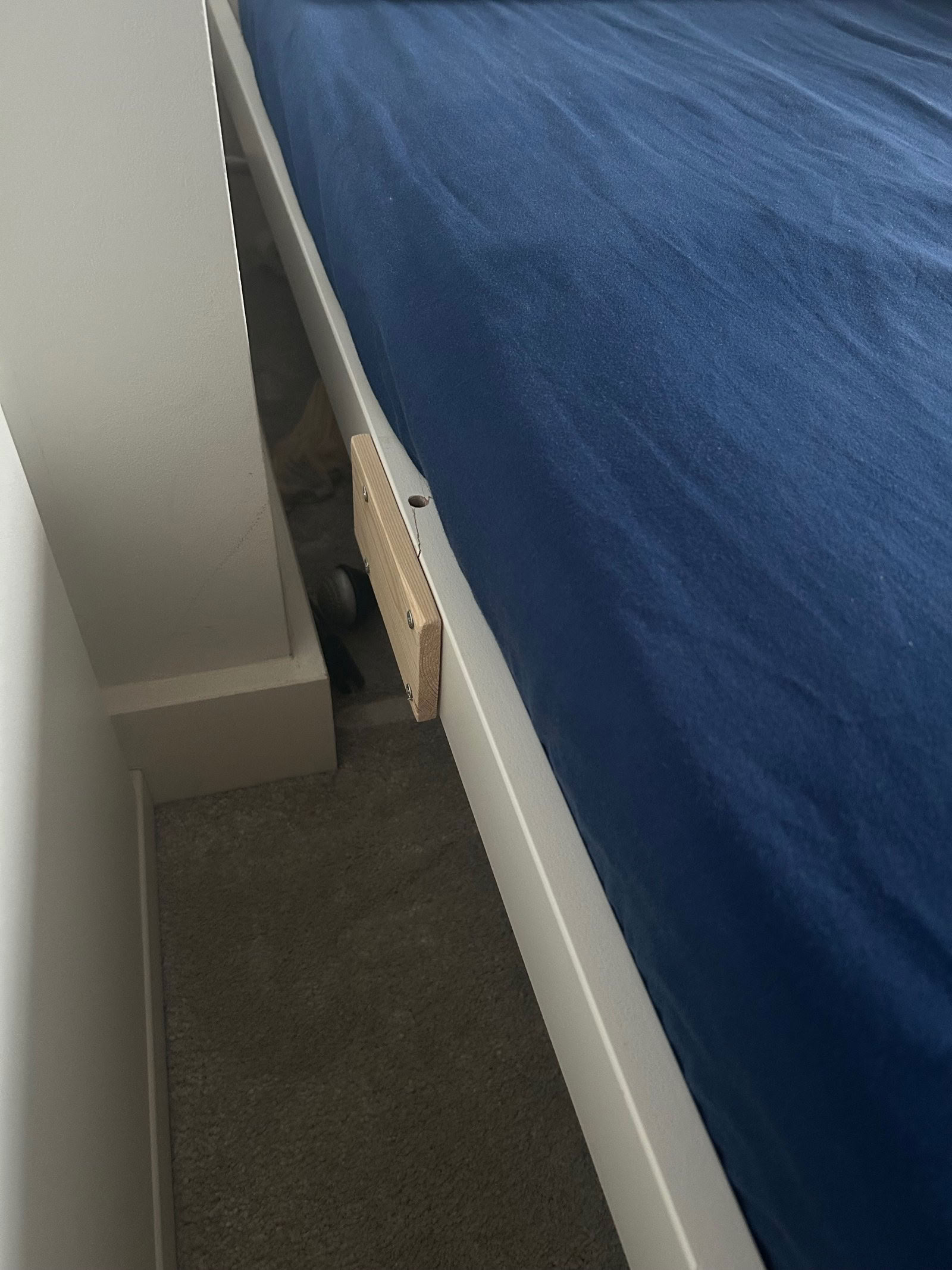 Free: Toddler Bed (Rugby Radio Station CV23) - Rugby Freegle