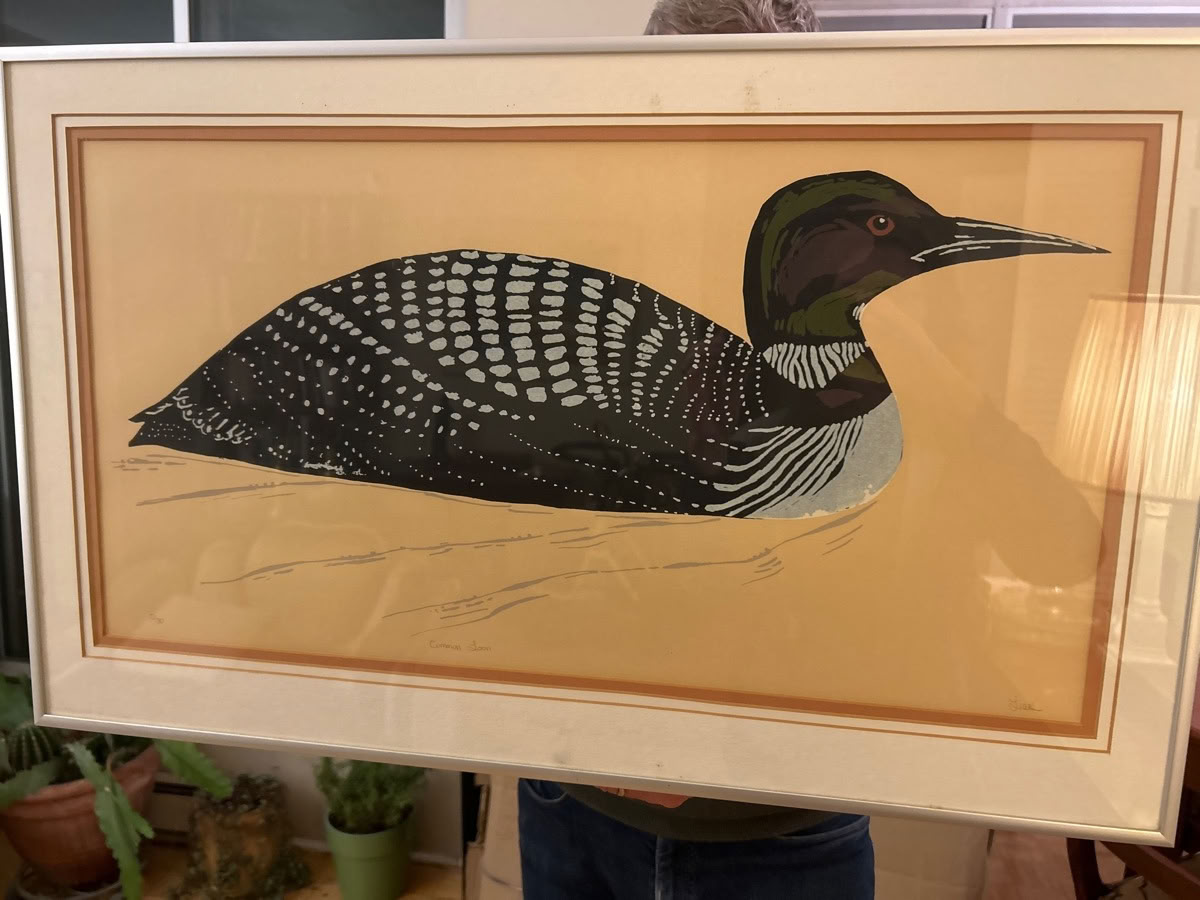 Free: framed print of loon (Midtown Toronto)