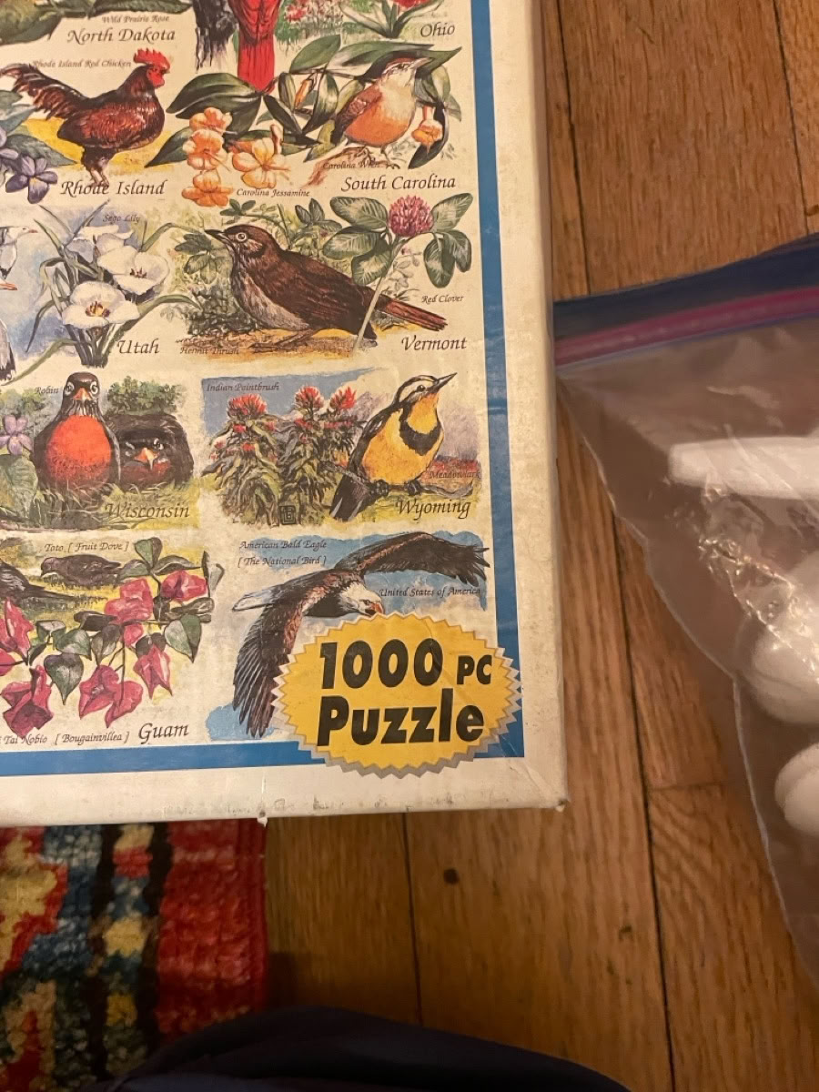 Free: puzzle - birds 1000 pieces (Chevy Chase DC)