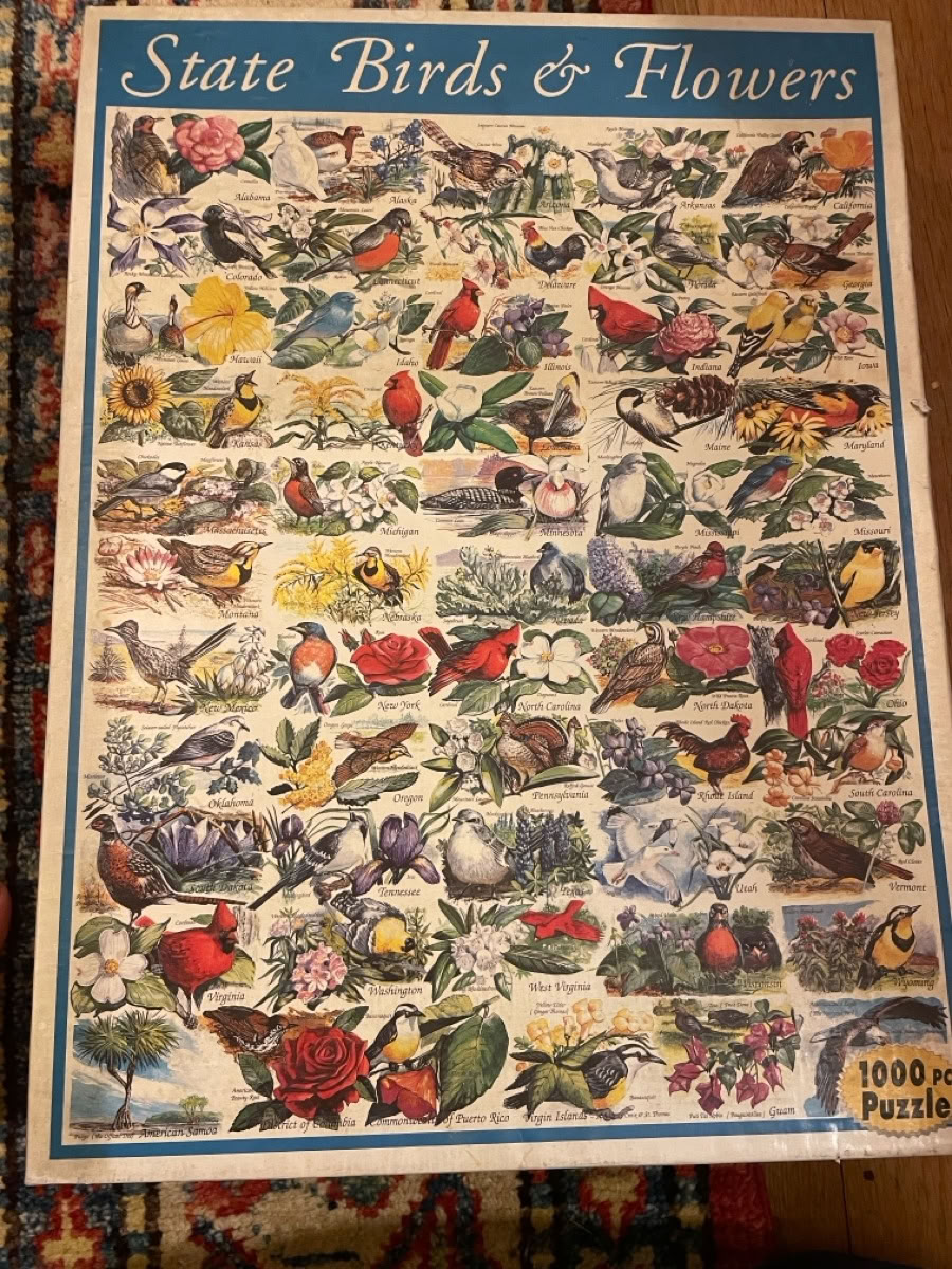 Free: puzzle - birds 1000 pieces (Chevy Chase DC)