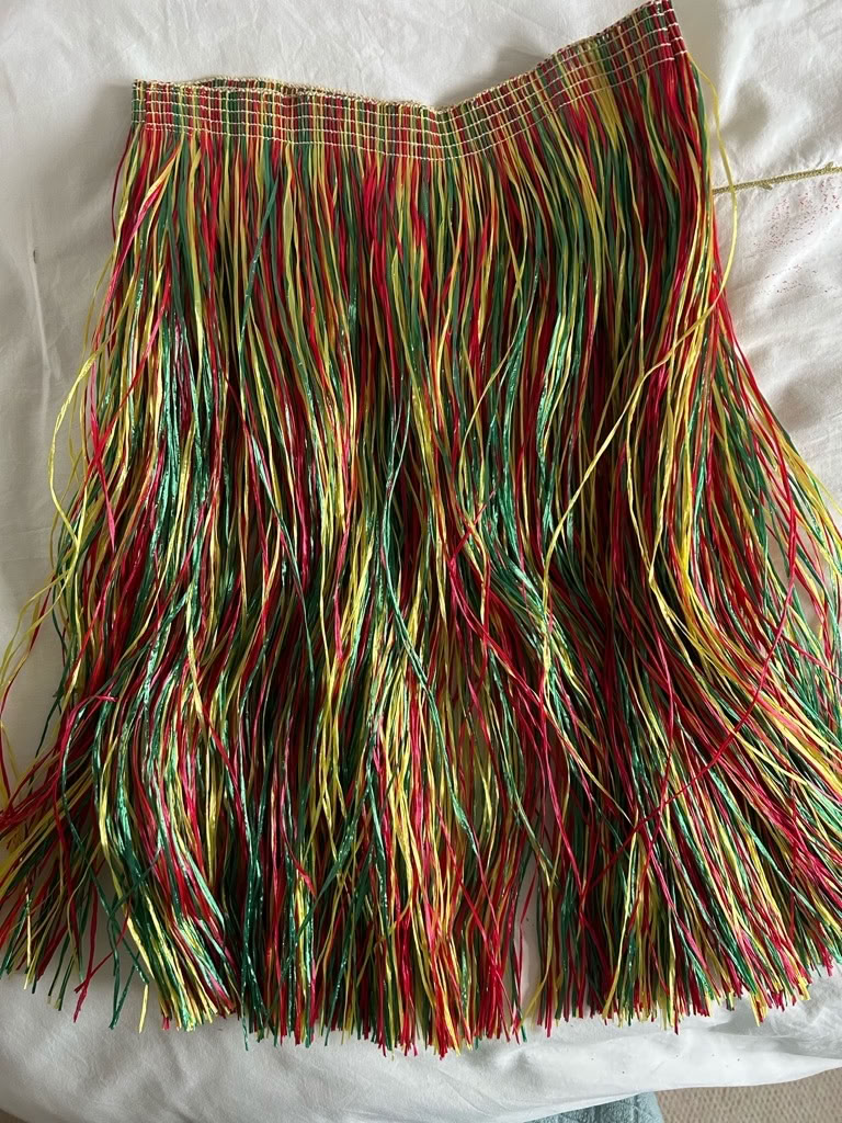 Free: Fancy dress grass skirt (Barkham RG41) - Wokingham Freegle