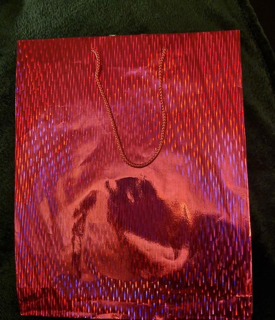 Free: Bag of gift bags, tissue paper (BN11 2HL)