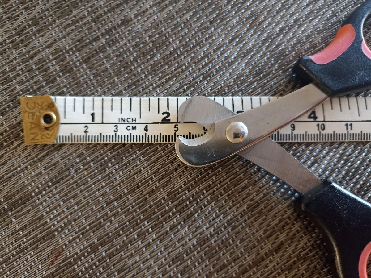 Free: New dog nail clippers with file (Romford RM1)