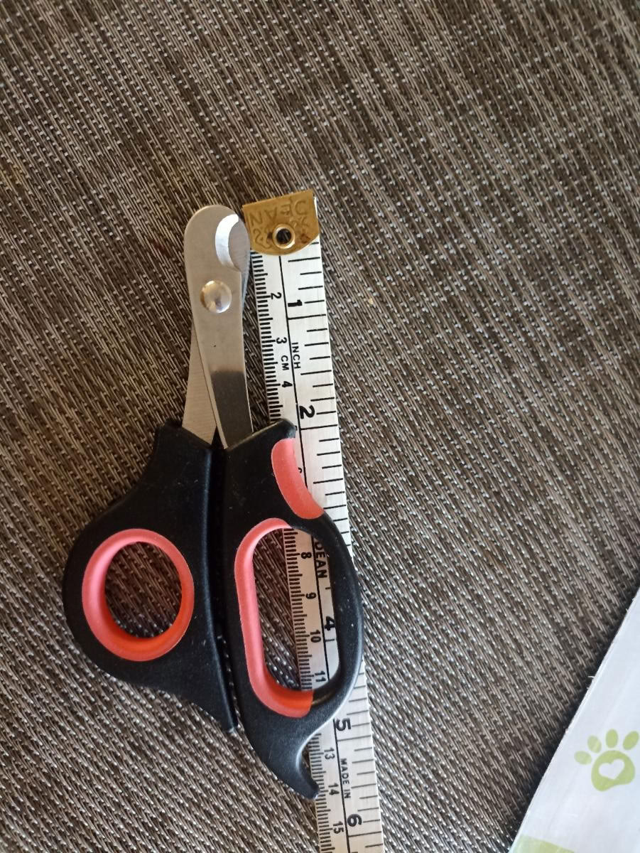 Free: New dog nail clippers with file (Romford RM1)