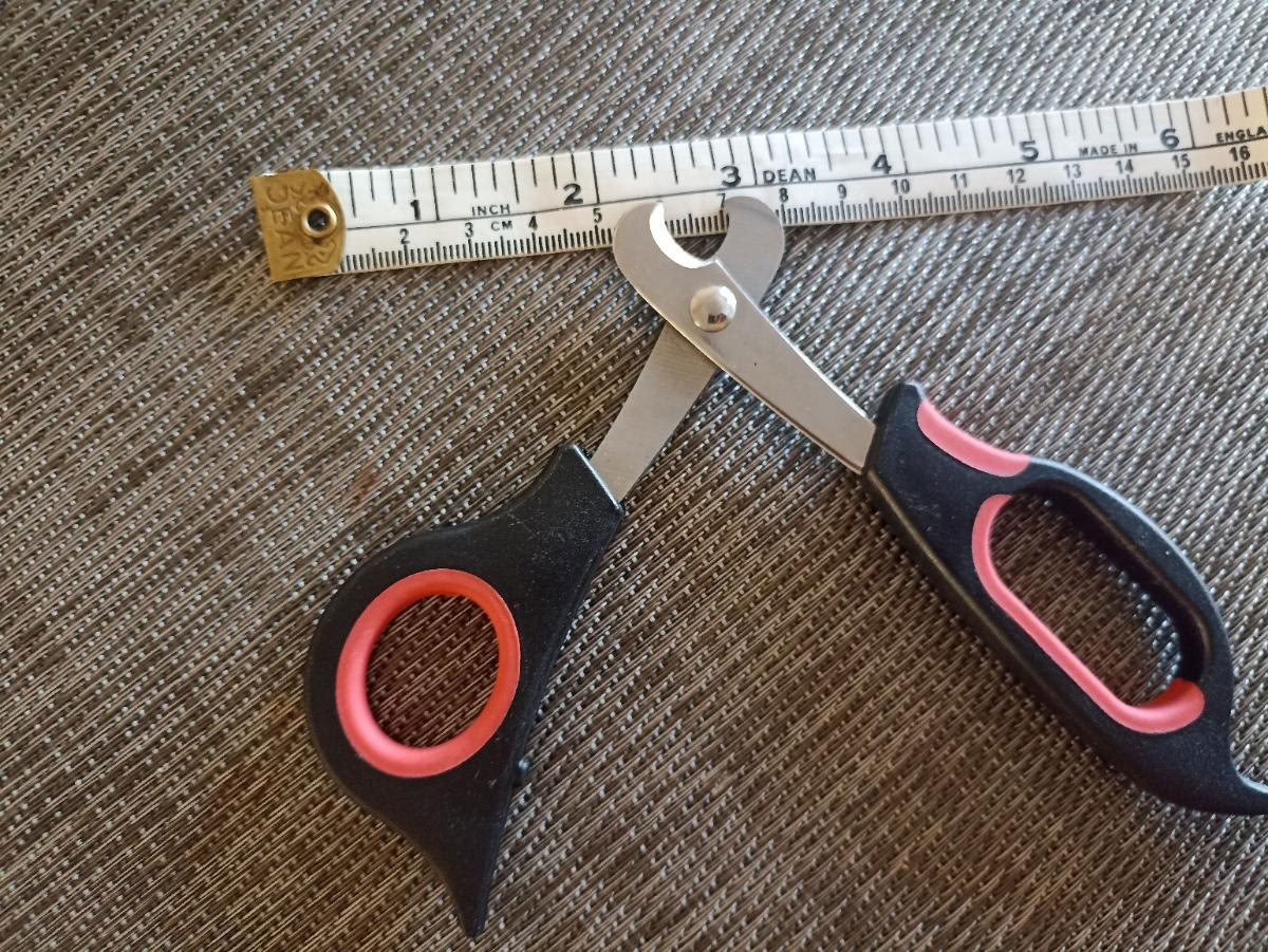 Free: New dog nail clippers with file (Romford RM1)
