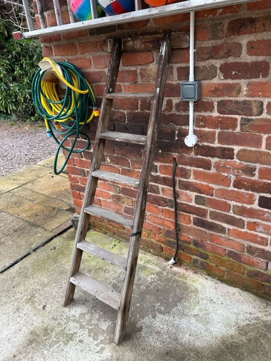 Free: 6 steps ladder (Lymm)