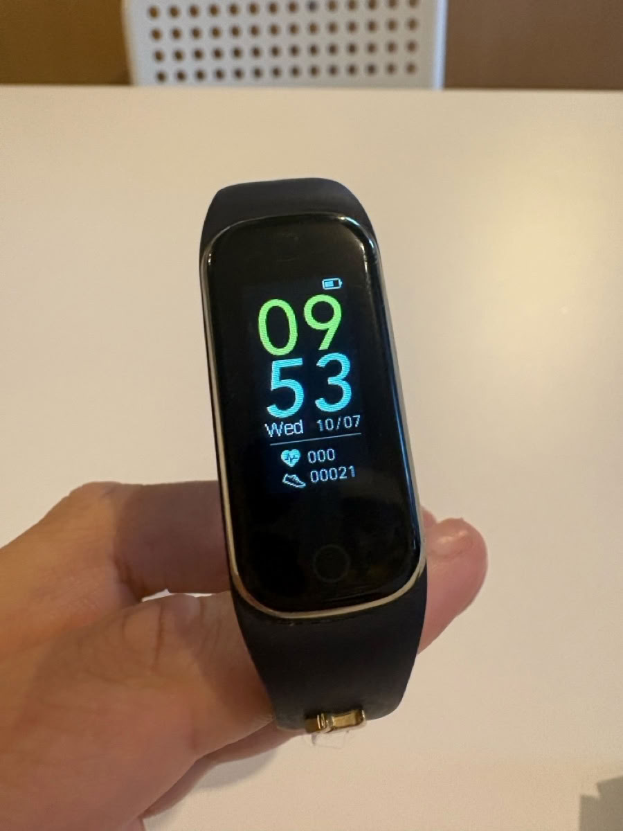 Free: Radley London watch (Leeds LS8)