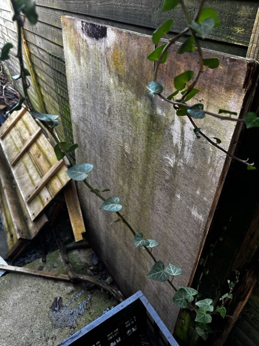 Free: Wood for Kindling / DIY Use (TN2 3HT)