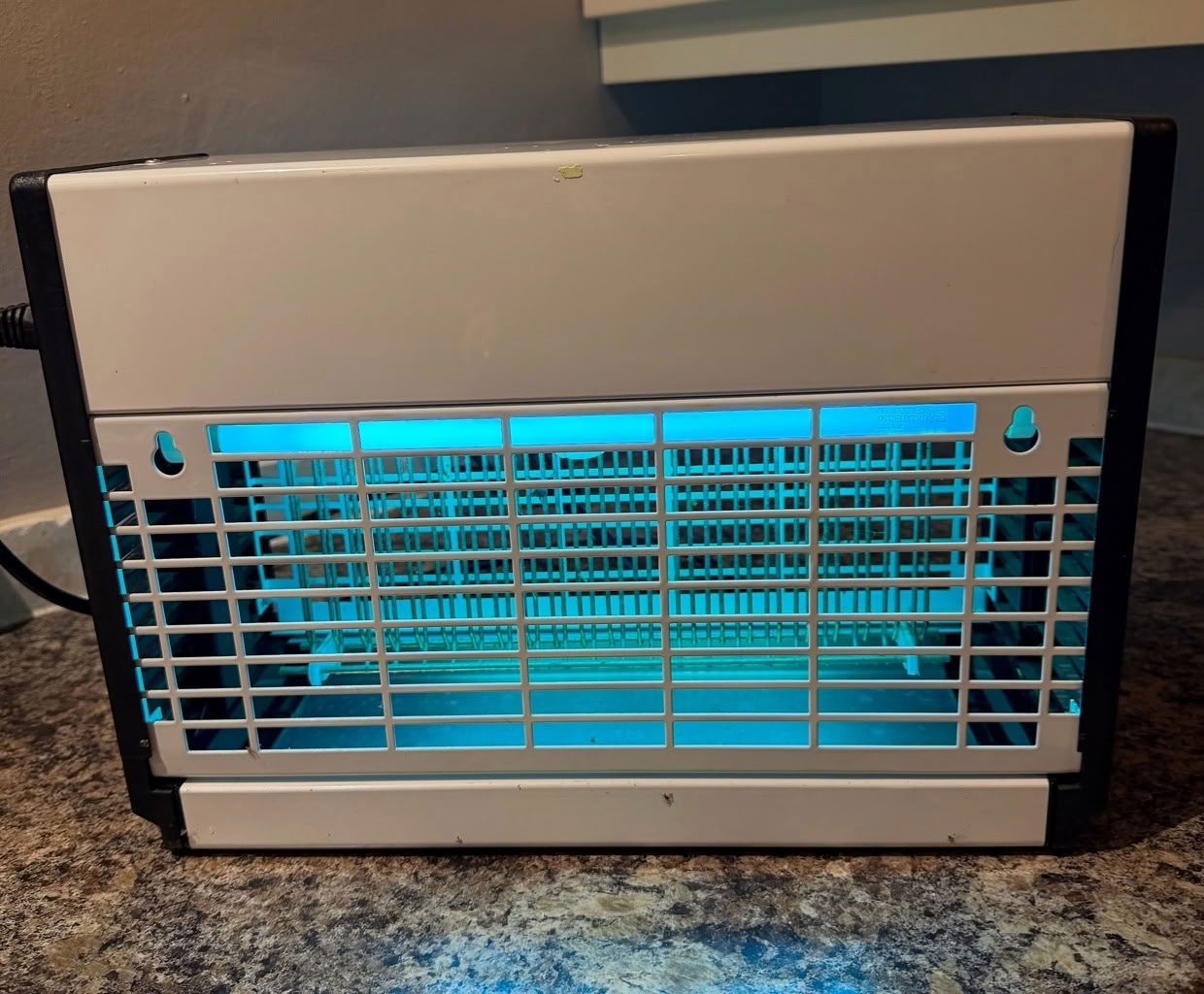 Free: Exocutor Fly Killer (Ringmer BN8) - Lewes Freegle