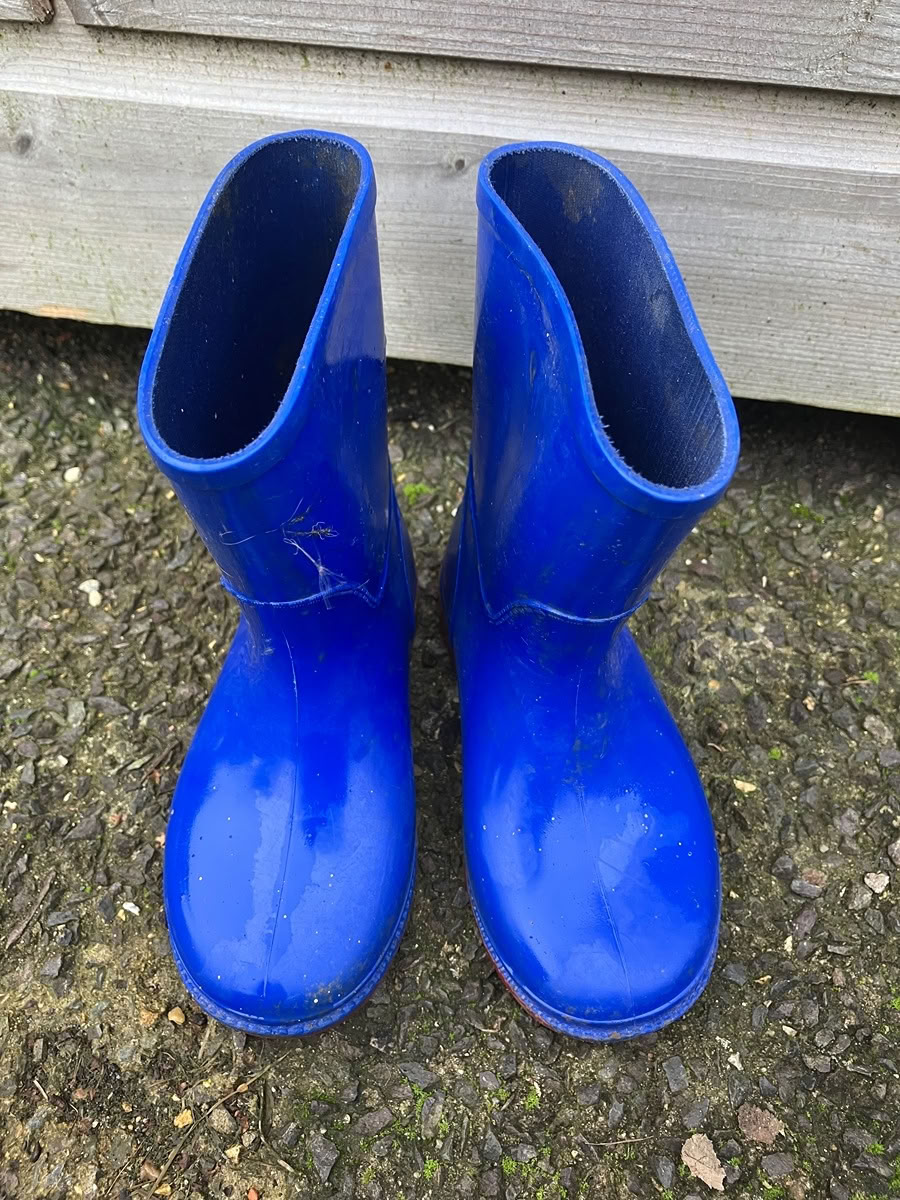 Free: Toddler wellies and/or boot socks (Whitecross OX13)